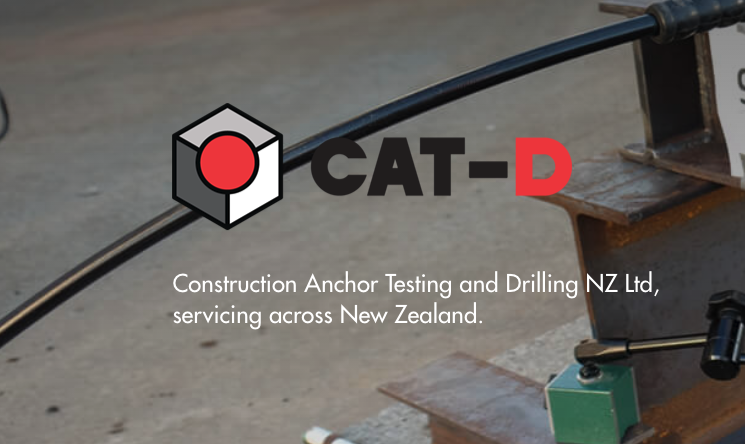 Welcoming CAT-D - CSI Structural Investigation